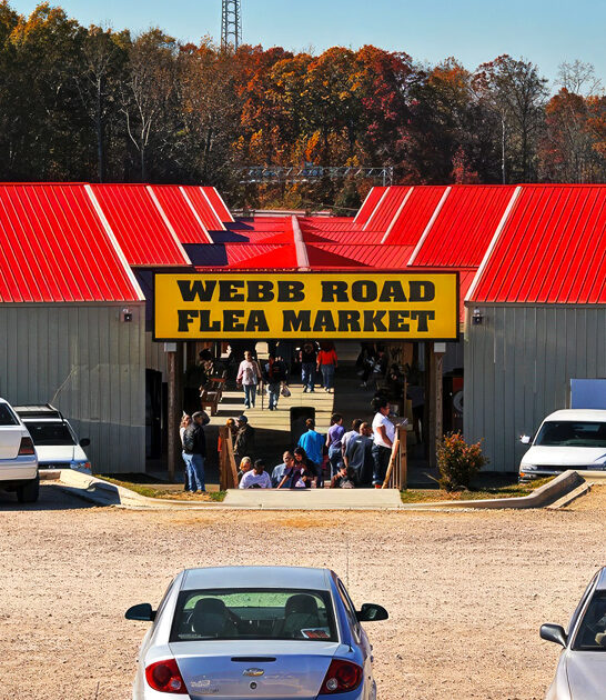 north carolina flocked market ftr