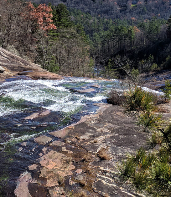 north carolina rewarding parks ftr