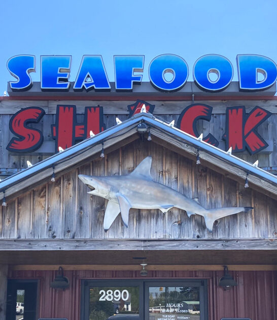 north carolina tasty fish ftr