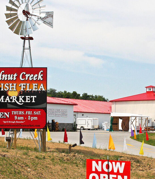 ohio amish swap meet ftr