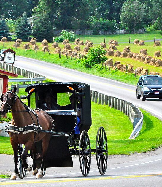 ohio amish town experience ftr