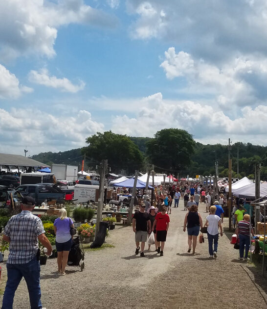 ohio awesome deals markets ftr