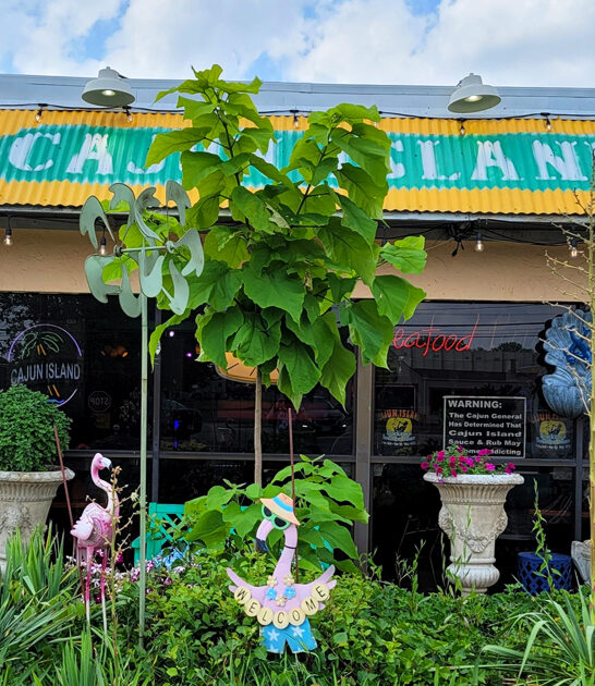 ohio best restaurant meals ftr