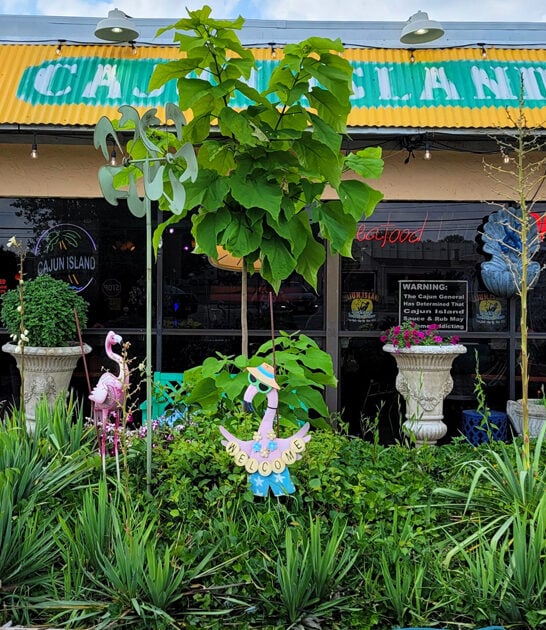 ohio cajun dining experience ftr
