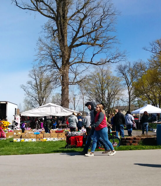 ohio massive flea fair ftr