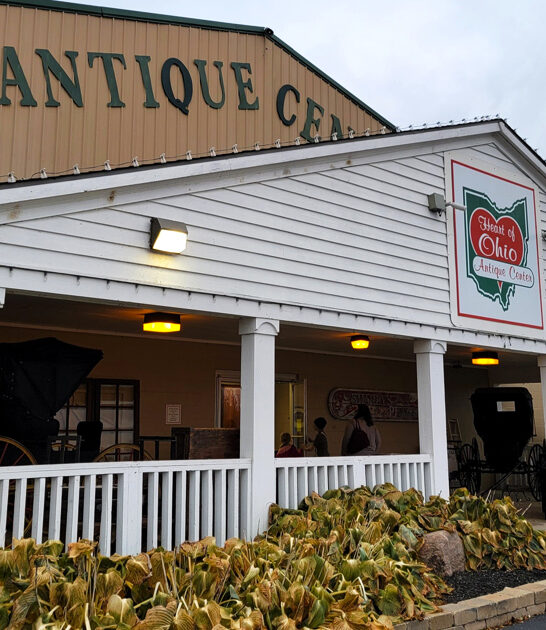 ohio rare antique store ftr