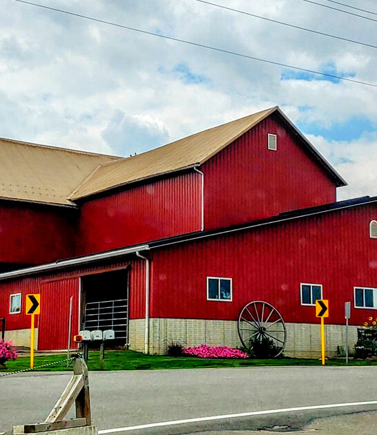 ohio sweet rolls paradise ftr