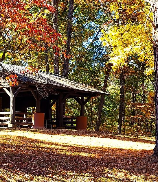 ohio trails trees park ftr