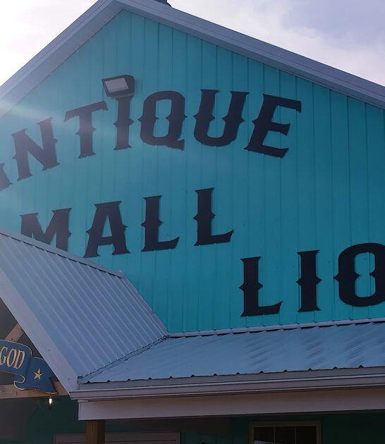 ohio vintage bargain store ftr