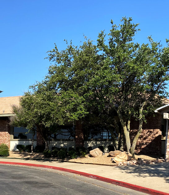 oklahoma steakhouse restaurant classic ftr