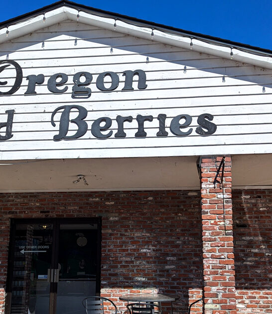 oregon delicious marionberry pies ftr