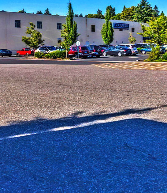 oregon massive thrift shop ftr