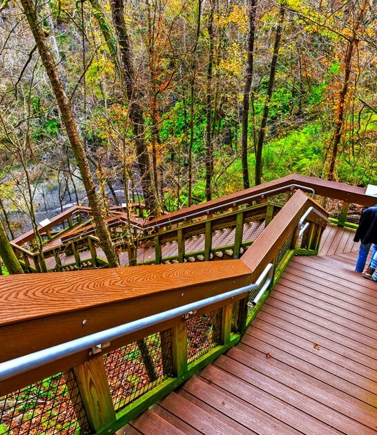 otherworldly state florida park ftr