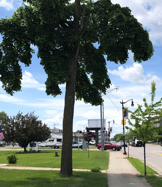 peaceful neighbors town michigan ftr
