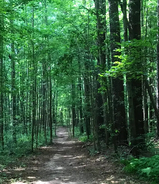 people delaware hike trail ftr