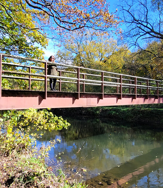 perfect scenic illinois park ftr