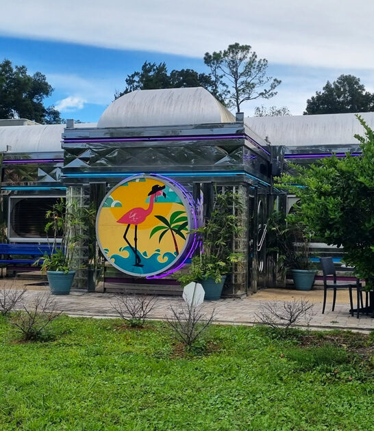 philly cheese steak florida ftr