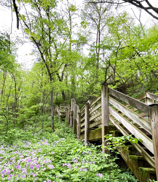 picturesque illinois best park ftr