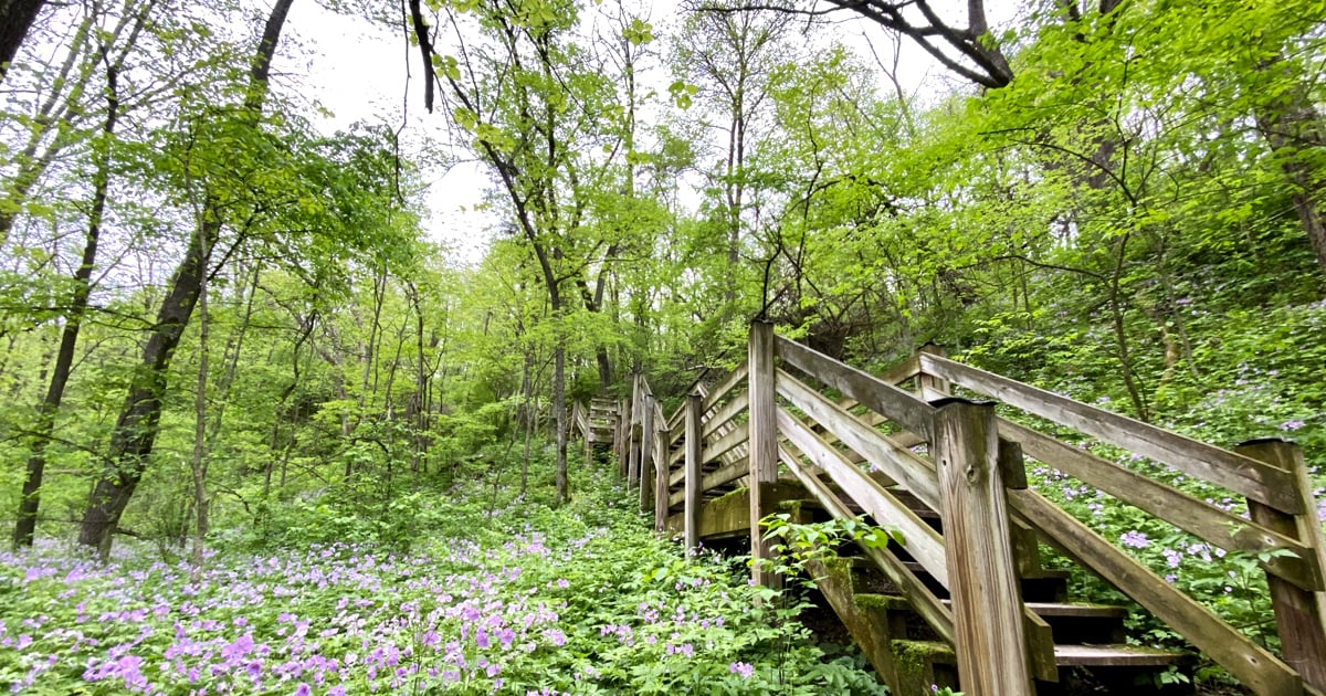This Picturesque State Park In Illinois Is One Of The State's Best-Kept ...