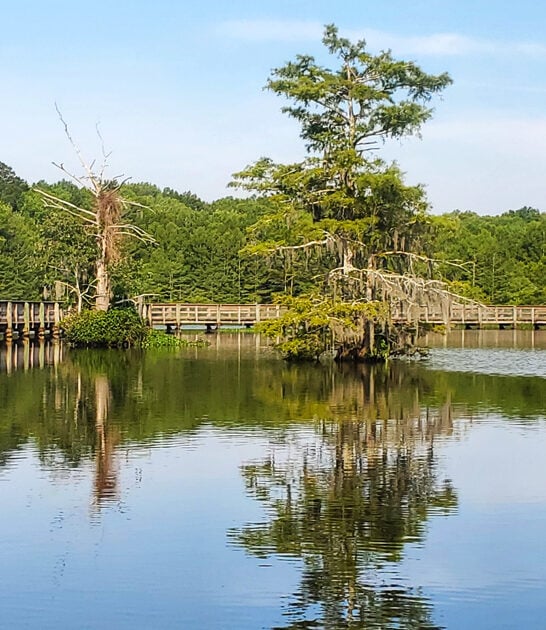 picturesque louisiana state park ftr