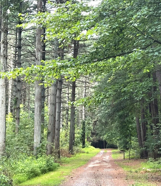 picturesque mile trail delaware ftr
