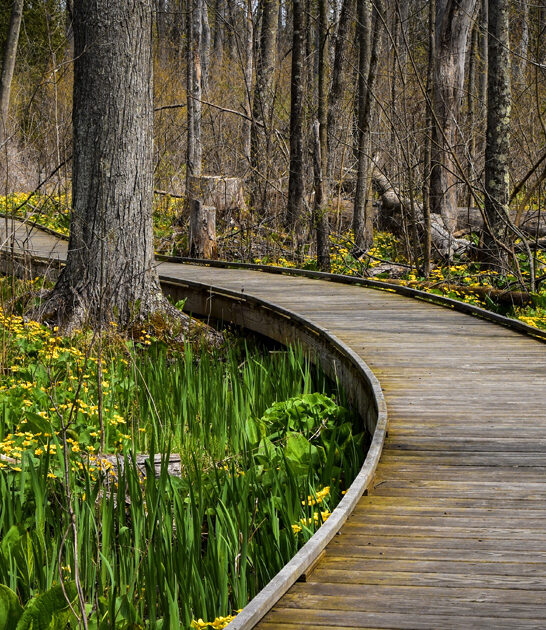 picturesque nature preserve ohio ftr