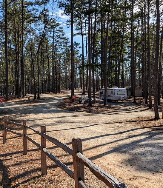 picturesque south carolina park ftr