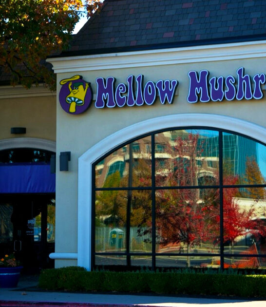 pizza lovers arkansas restaurant ftr