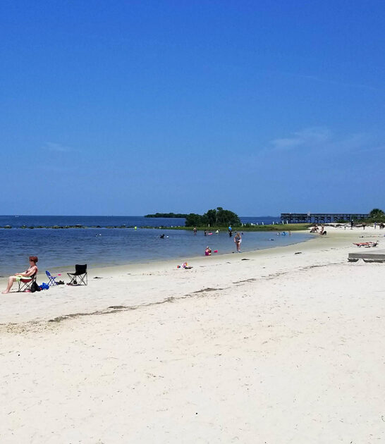 postcard dreamy beach florida ftr
