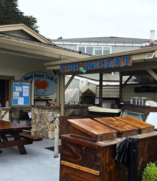 quirky california seafood shack ftr