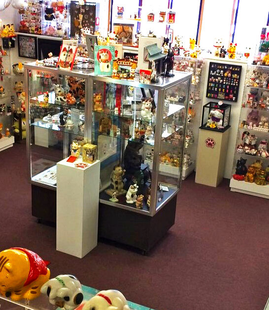 quirky ohio cat museum ftr