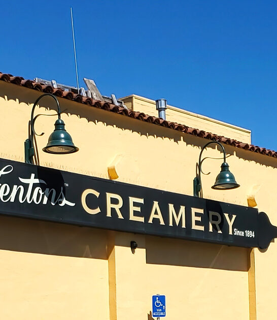 retro ice cream california ftr