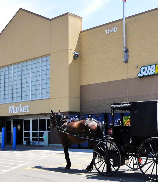 millersburg pays amish, oh