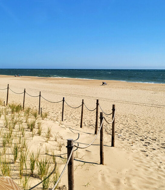 scenic beach delaware hidden ftr