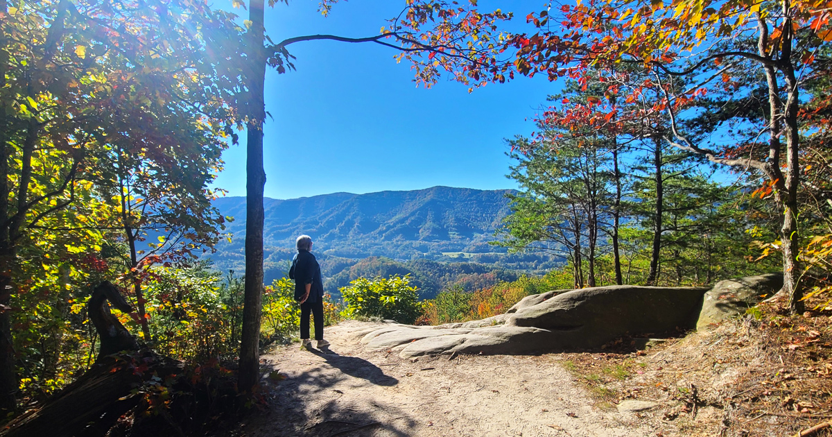 This Scenic State Park In Kentucky Is The Perfect Place To Escape From ...