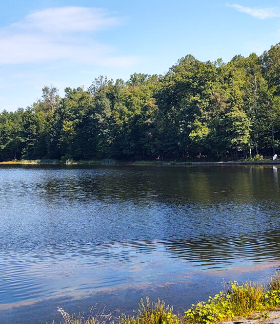 scenic pennsylvania park trails ftr