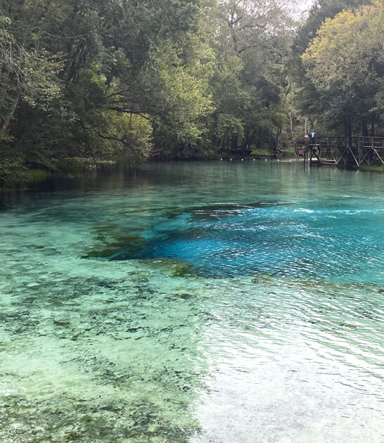 secret florida park spot ftr