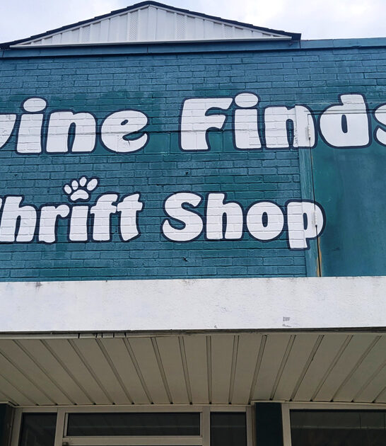 shops bargain north carolina ftr