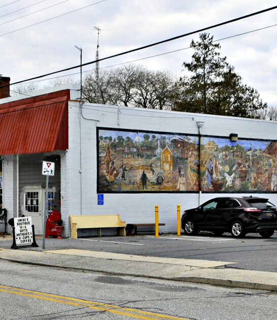 simple dreamy town delaware ftr