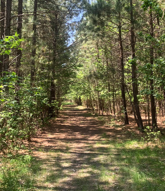simple state parks maryland ftr