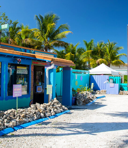 small gorgeous town florida ftr