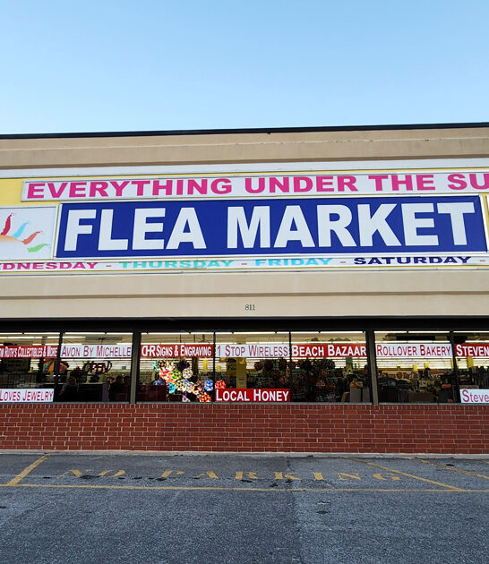 south carolina bargain markets ftr