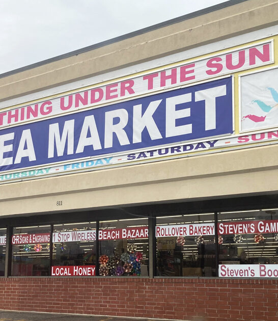 south carolina flea finds ftr