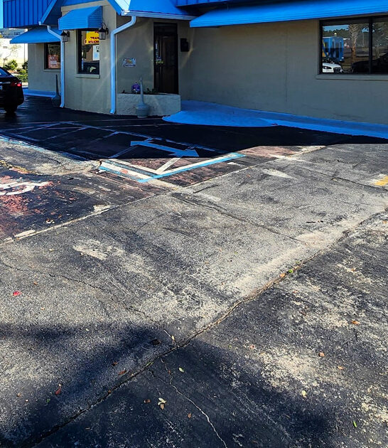 south carolina grit bliss ftr