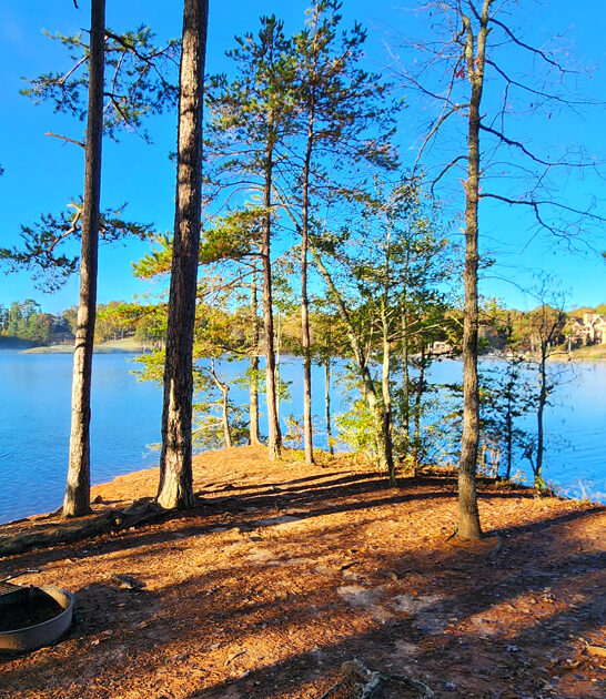 south carolina impressive parks ftr