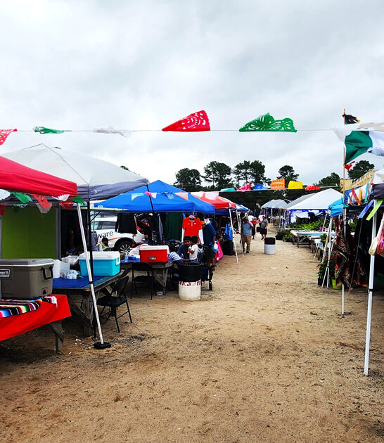 south carolina market finds ftr