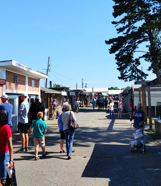 south carolina road trip ftr