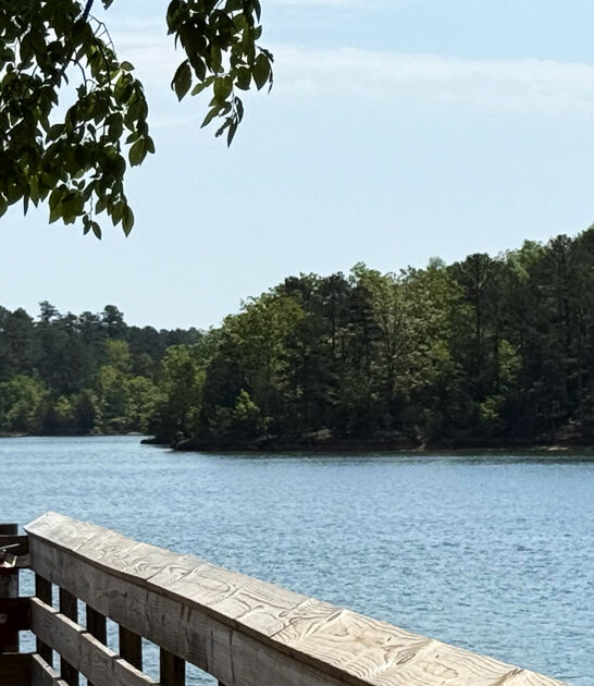 south carolina scenic parks ftr