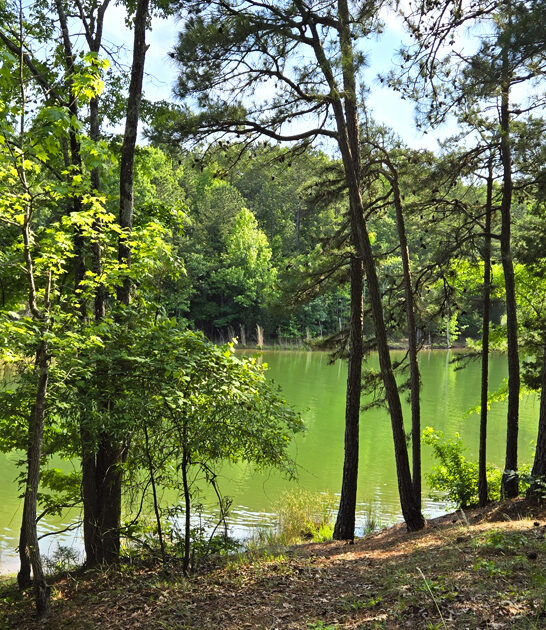 south carolina secret parks ftr