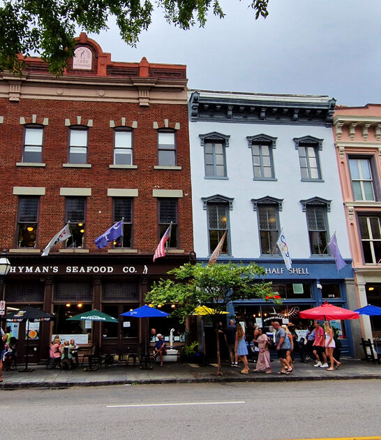 south carolina stuffed grouper ftr